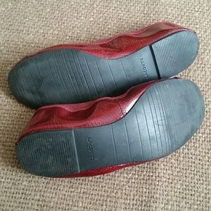 Lacoste | Shoes | Lacoste Flats | Poshmark